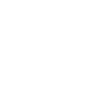 The Chrysalis Capital